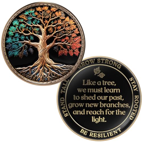 MilestoneMint Affirmation Sobriety Coin Gift Set | Tree of Life AA Chi ...